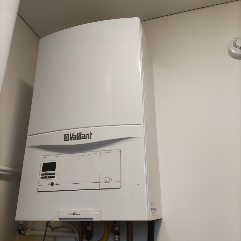 Katilų daktaras - Info.lt