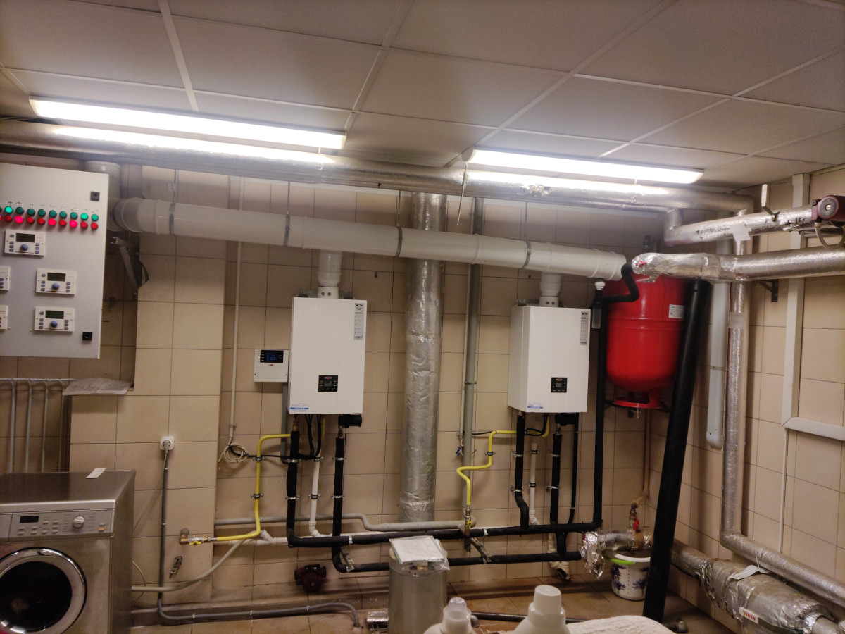 Katilų daktaras - Info.lt